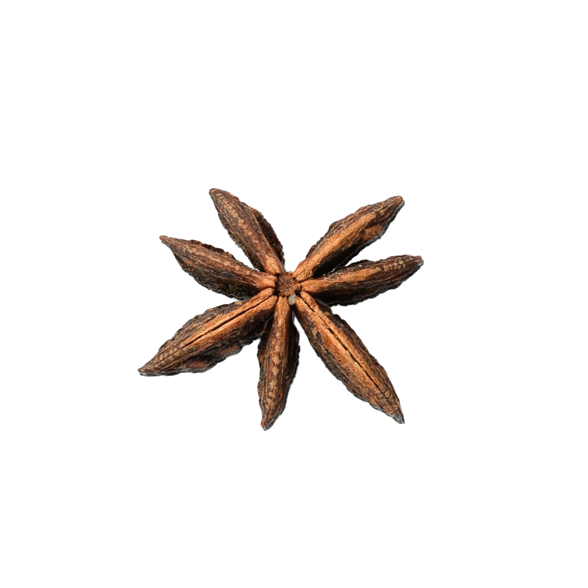 Oat Bran Cookies Autumn Spice - Leclerc